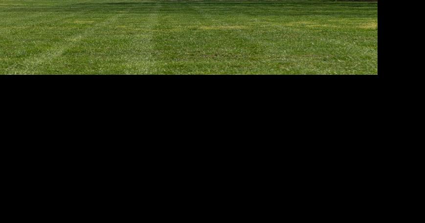 Patrick Spero named to lead George Washington Presidential Library at ...