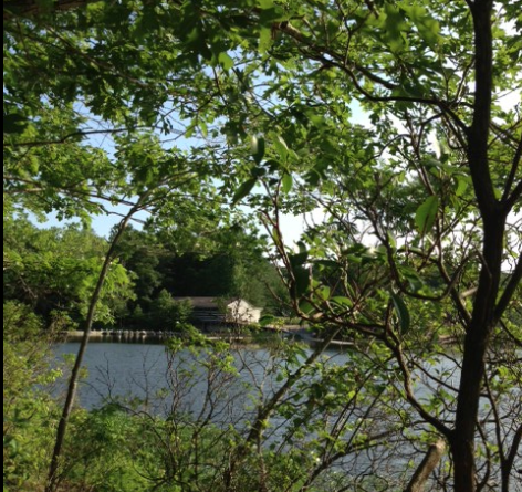 Prince William parks and rec annual report highlights activities ...