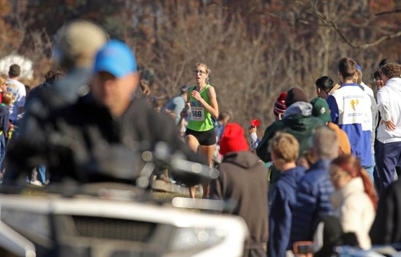 Colonial Forge's Loescher wins state cross country title | Headlines ...