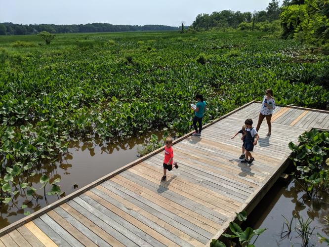 Neabsco Creek Boardwalk brings new view to Woodbridge | Prince William ...