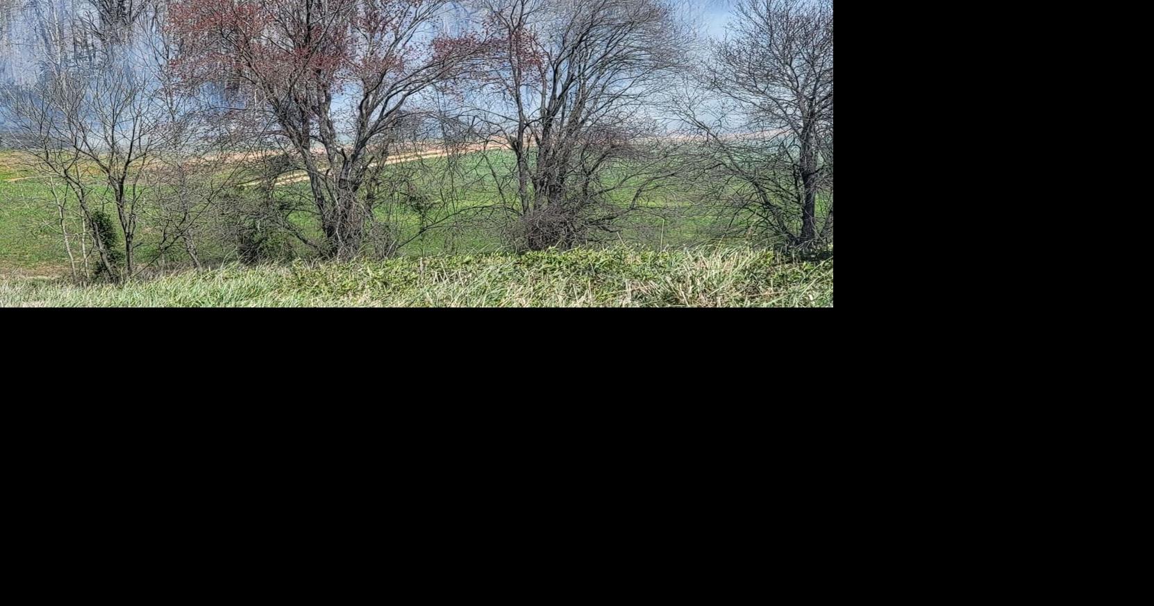 DEVELOPING: Culpeper firefighters working active wildfires | InsideNoVa ...