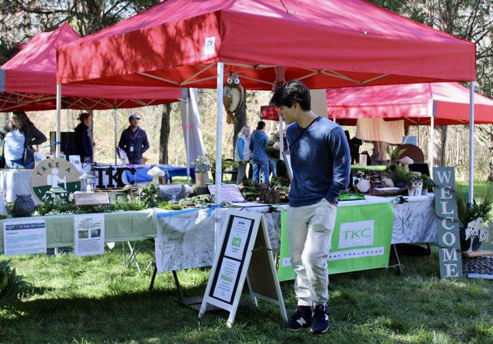 IN PHOTOS: Bluebells work their magic at Nokesville's Merrimac Farm ...