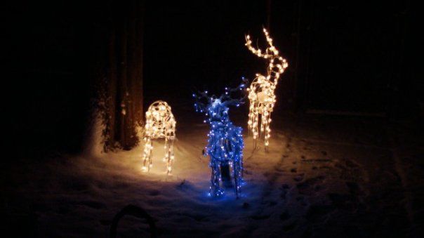 PHOTOS: A look back at the Christmas blizzard of 2009 | Headlines ...