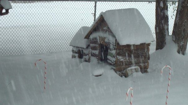 PHOTOS: A look back at the Christmas blizzard of 2009 | Headlines ...