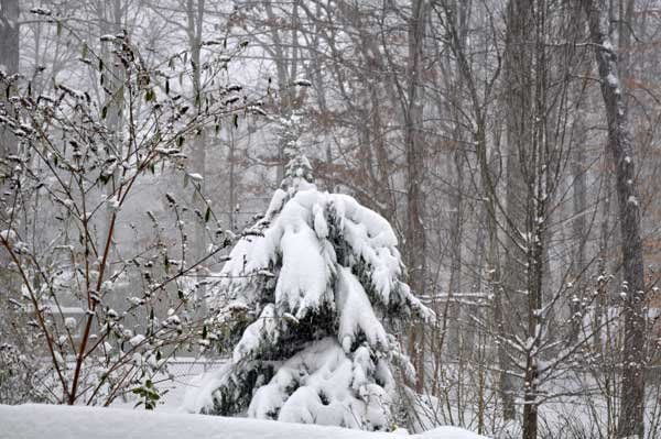PHOTOS: A look back at the Christmas blizzard of 2009 | Headlines ...