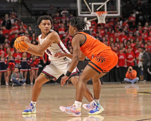 PHOTOS: Hayfield tops Patriot for Class 6 state boys basketball title ...