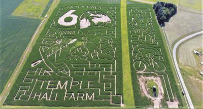 Get Lost! Corn mazes return for fall fun | Lifestyles | insidenova.com