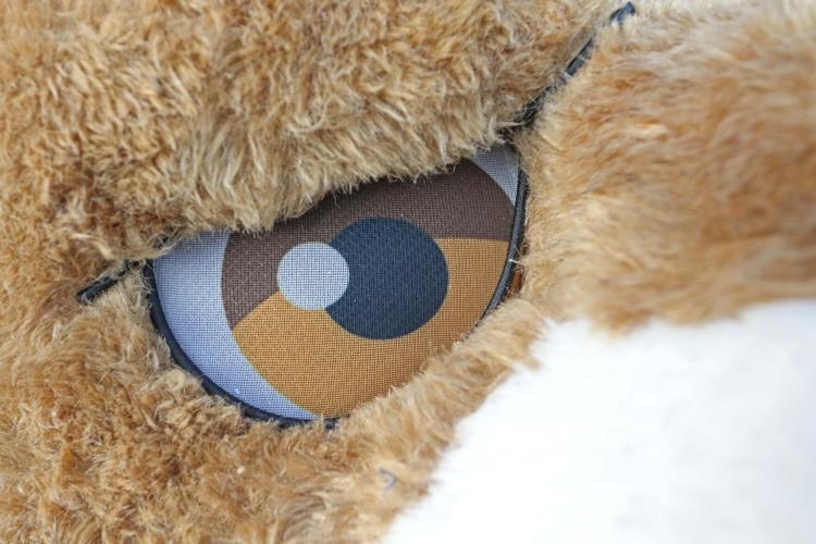 IN PHOTOS: A view from inside Gar-Field's mascot | Sports | insidenova.com