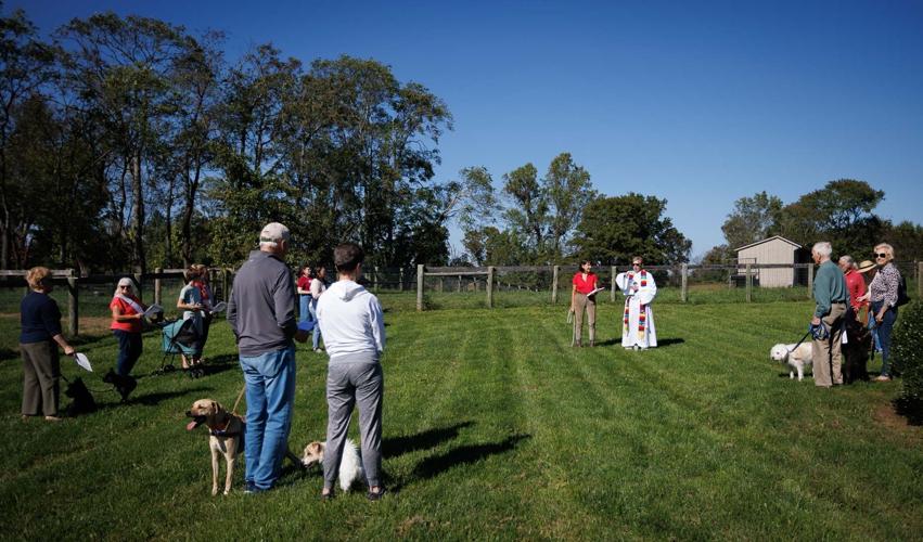 IN PHOTOS: Blessing the animals in Marshall | Headlines | insidenova.com