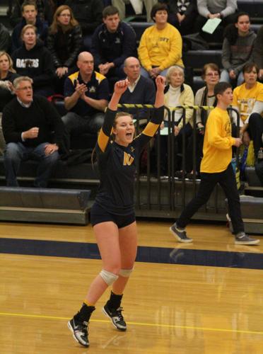 Loudoun County volleyball advances to state final | Multimedia ...