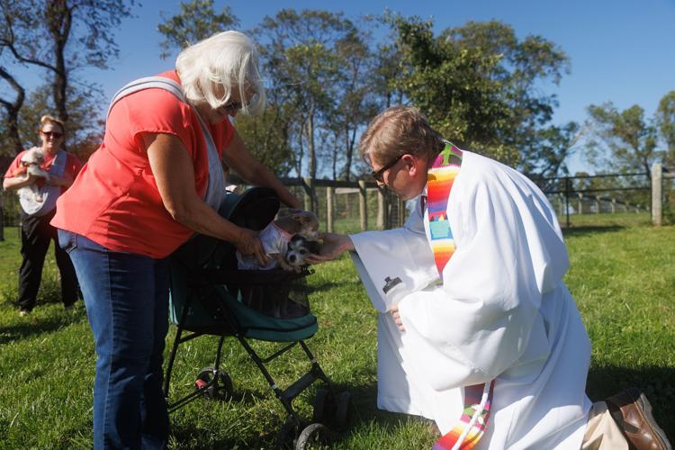 IN PHOTOS: Blessing the animals in Marshall | Headlines | insidenova.com