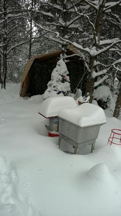 Counting the homeless complicated by snow | Prince William | insidenova.com