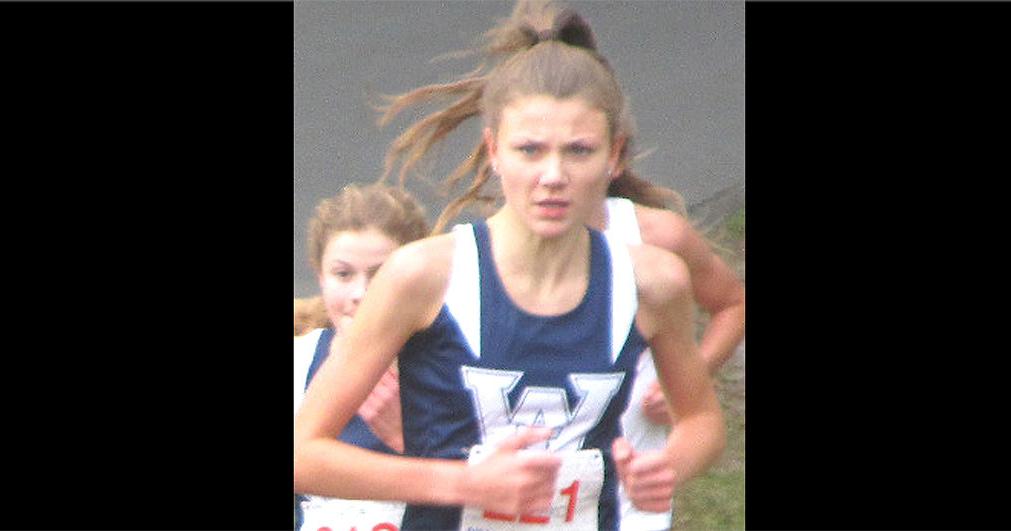 High-school roundup: State gymnastics, region track & field | Sports ...