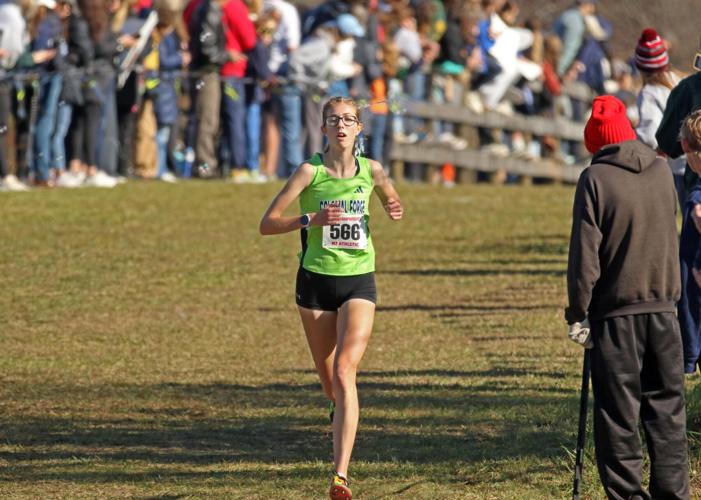 Colonial Forge's Loescher wins state cross country title | Headlines ...