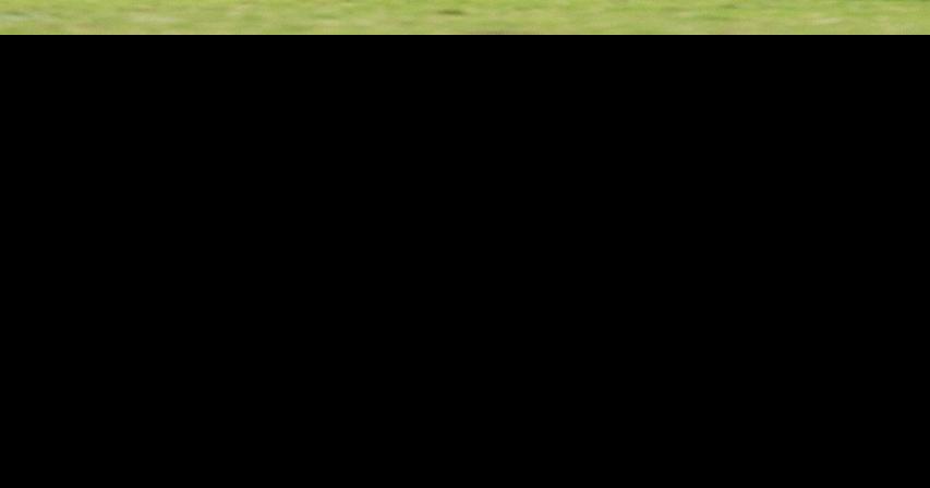 E.J. Levenberry attending NOVA for now | Sports | insidenova.com