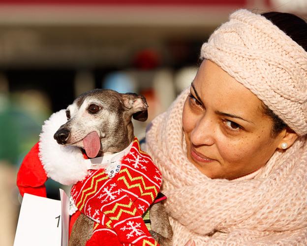 PHOTOS: ‘Reindogs’ help bring the holiday spirit to life | Multimedia ...
