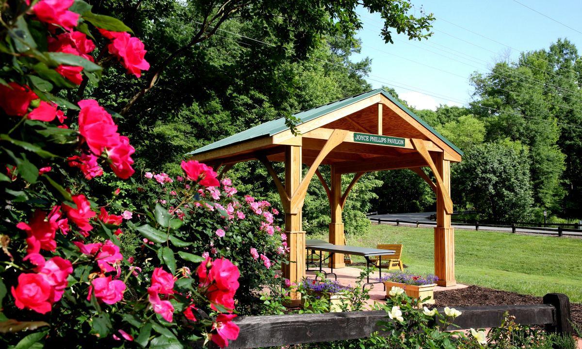 Independent Hill library celebrates 30 Years, honors longtime volunteer ...