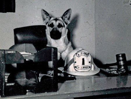 McLean Volunteer Fire Department chronicles innovative history ...