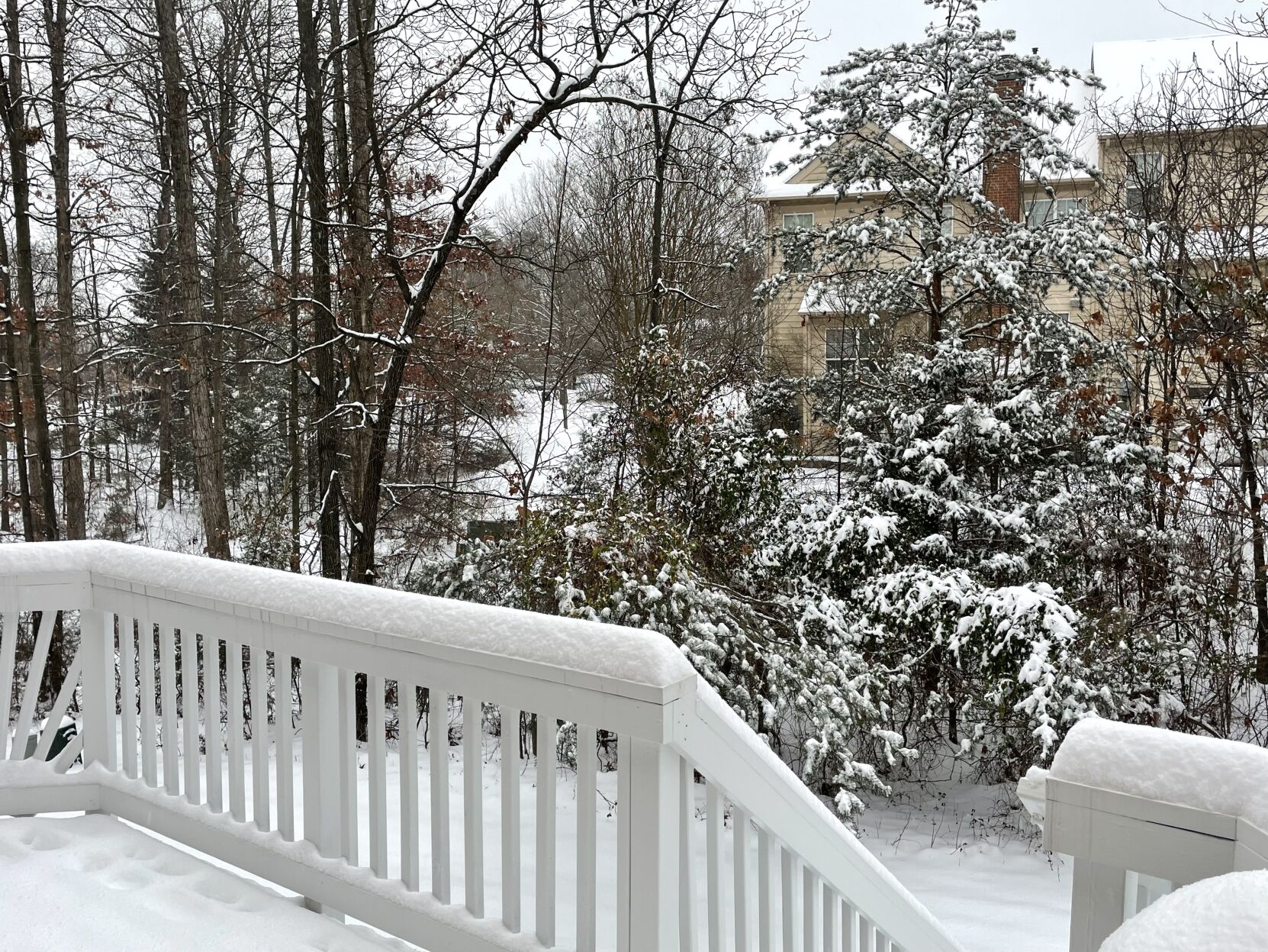 Early snow totals for Northern Virginia | Headlines | insidenova.com