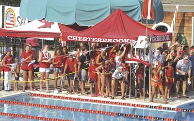 NVSL plans to hold a summer season | Sports | insidenova.com