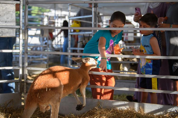 IN PHOTOS: Virginia's largest county fair is in full swing in Prince ...