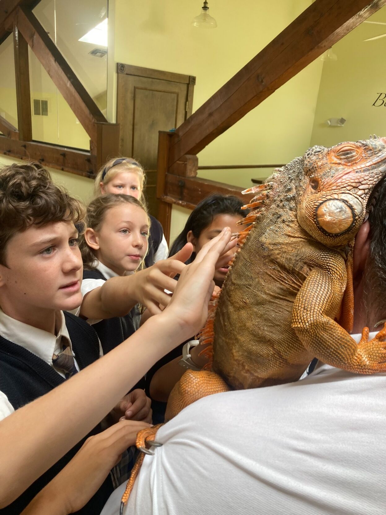 Raging Reptiles plans to slither into Potomac Mills mall | Headlines ...