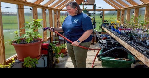 Let the Sun Shine In At Sunshine Honey Farm | Lifestyles | insidenova.com