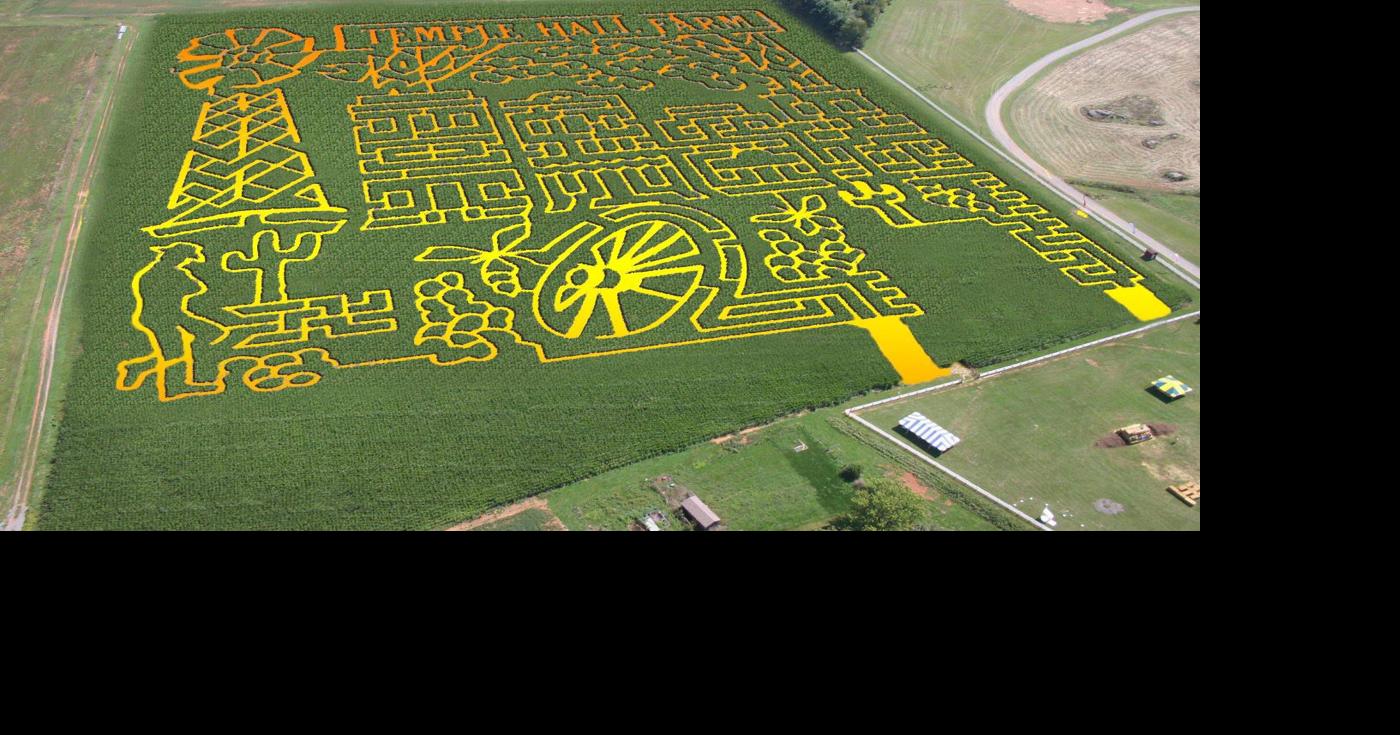 10 Corn Mazes and Fall Festivals at Northern Virginia Farms | Things To ...