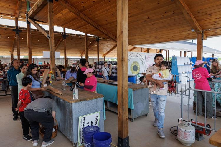 IN PHOTOS: A stunning spring scene at Burnside Farms in Nokesville ...