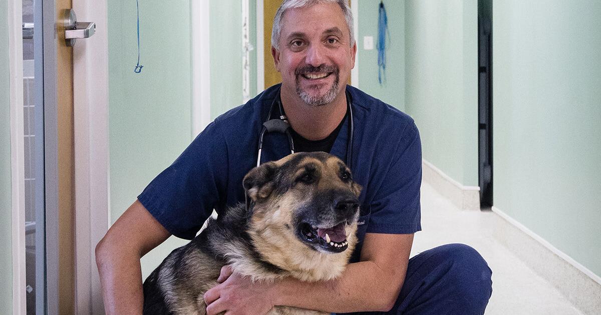 First Impressions: A Visit to Willow Animal Hospital | Lifestyles ...