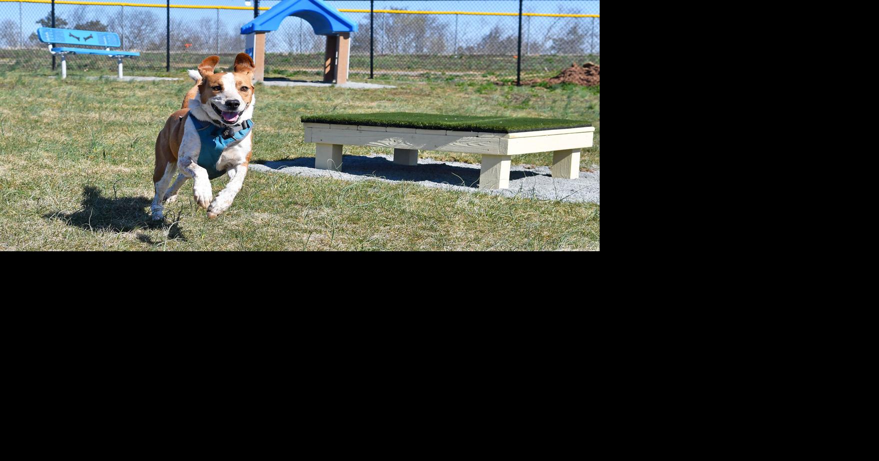 Lenn Park dog park opens May 10 | InsideNoVa Culpeper - Culpeper Times ...