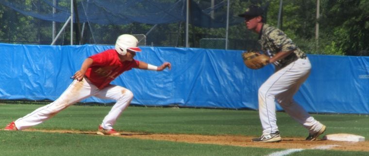 McLean's baseball season ends in state tournament semifinal | Baseball ...