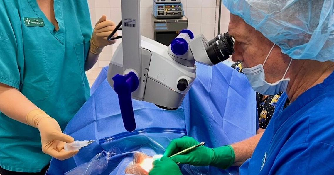 Meet Dr. Brear: Culpeper ophthalmologist celebrates 40 years in ...