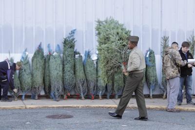 Trees for Troops comes to Quantico | Headlines | insidenova.com