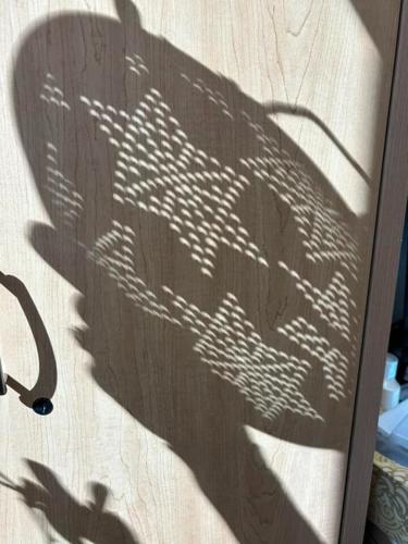 IN PHOTOS: All eyes on the skies for Eclipse 2024 | Headlines ...