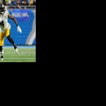 Steelers' Metcalf suspended two games over fan outburst | National ...