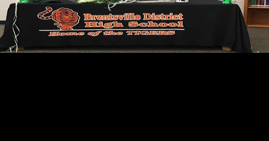 All-Conference 28 softball team: Brentsville's Leah Shipp is the co ...