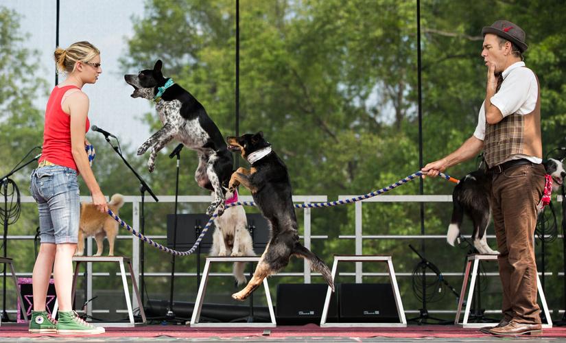 Slide Show: Scenes from 2015 McLean Day | Photo Galleries | insidenova.com