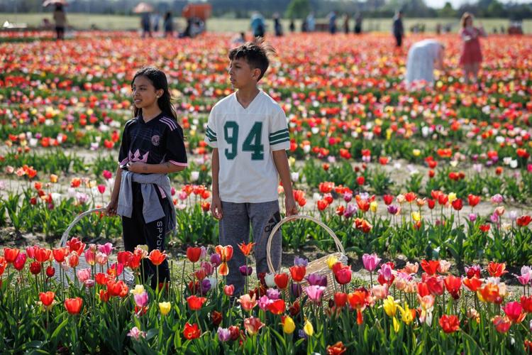 IN PHOTOS: A stunning spring scene at Burnside Farms in Nokesville ...