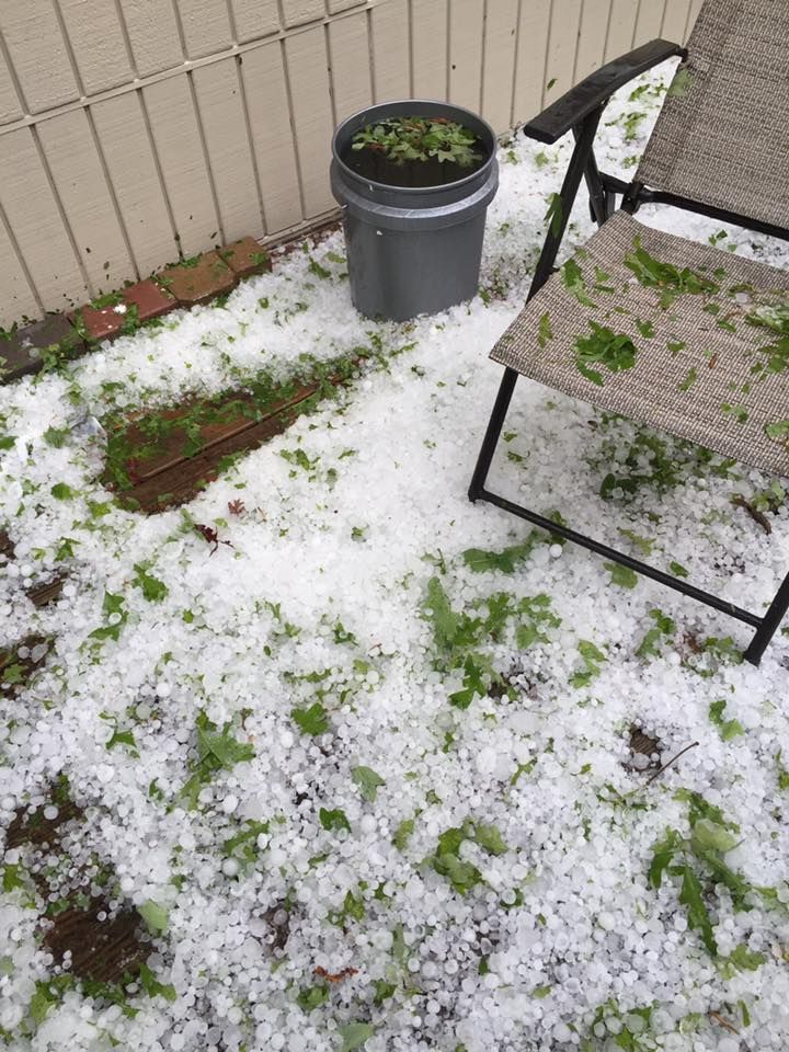 Hail takes area by storm | Headlines | insidenova.com