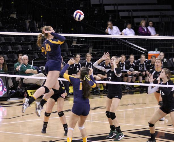 Loudoun County wins state volleyball title | Loudoun | insidenova.com