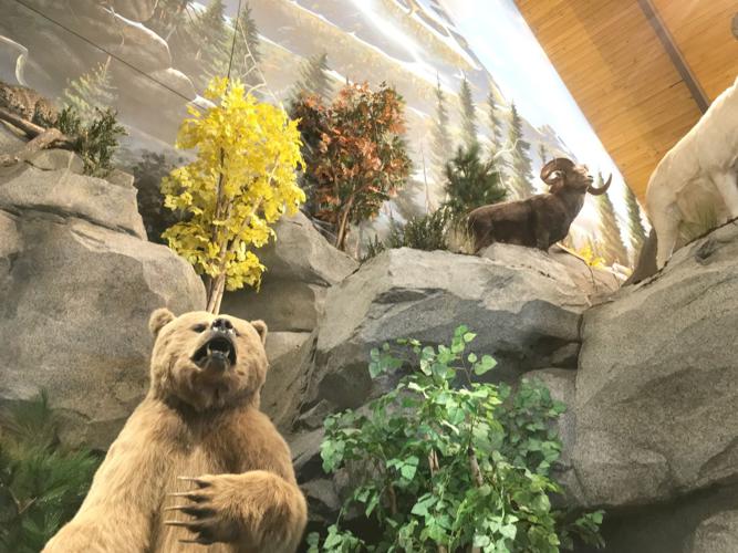 Cabela's Gainesville grand opening: Look inside the new store ...