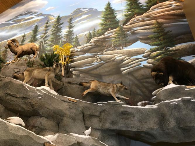 Cabela's Gainesville grand opening: Look inside the new store ...