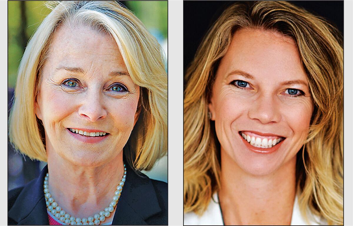 Policy positions similar, but not identical, in 34th District House ...