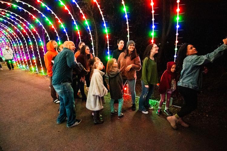 PHOTOS: Holiday Walk of Lights at Neabsco Creek Boardwalk | Lifestyles ...