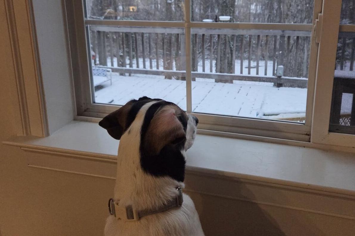 Preliminary Northern Virginia snow totals for Friday's storm ...