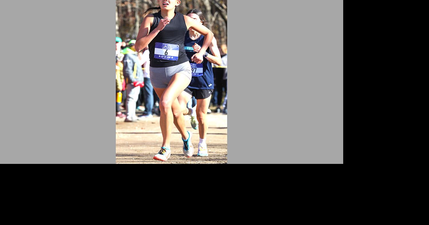 McLean runner sixth at south region cross country meet | Sports ...