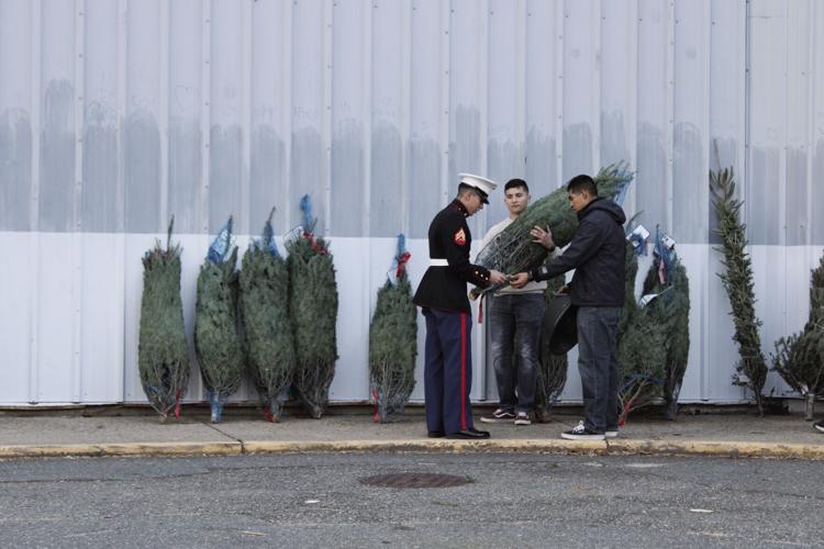 Trees for Troops comes to Quantico | Headlines | insidenova.com