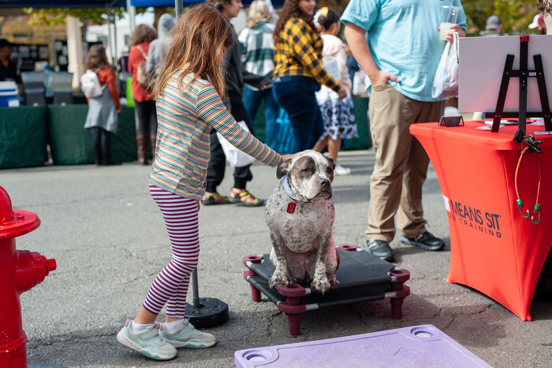 IN PHOTOS: Thousands flock to the Manassas Fall Jubilee | Headlines ...