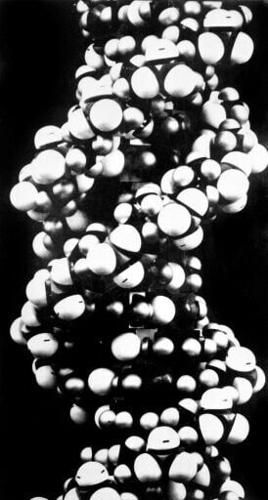 James Watson, Nobel prize-winning DNA pioneer, dead at 97 | National | insidenova.com